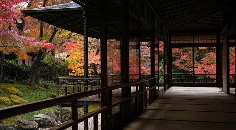 Japanese Houses – Japan House London