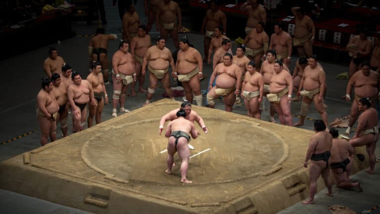 sumo channel 4